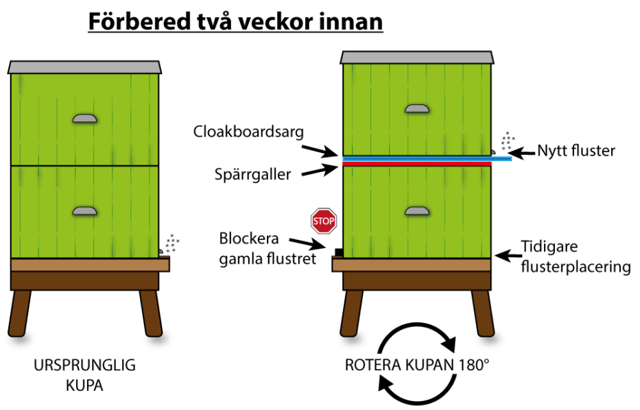 Drottningsodling – Biodlarna