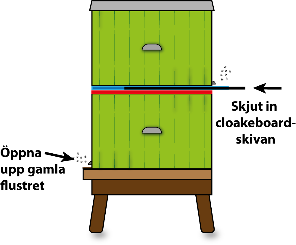 Drottningsodling – Biodlarna