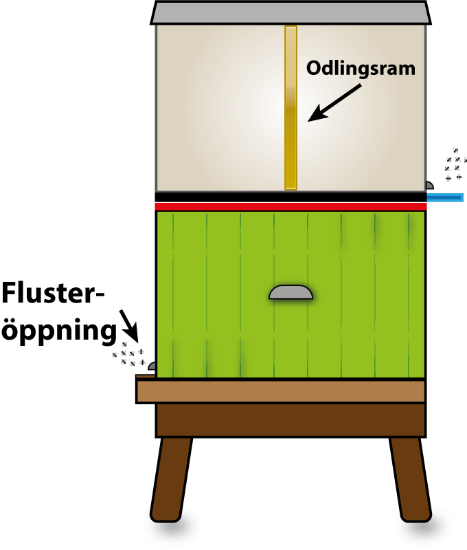 Drottningsodling – Biodlarna